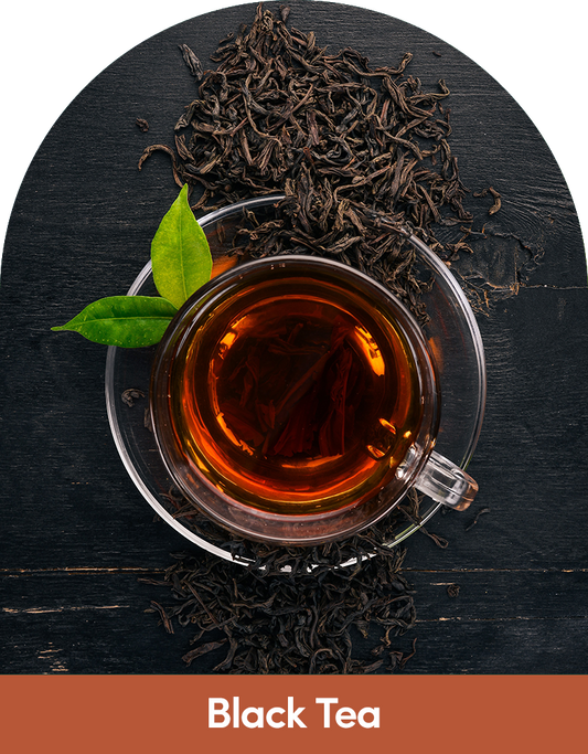 Buy Premium Teas Online in India | 1868 by Tata Tea
